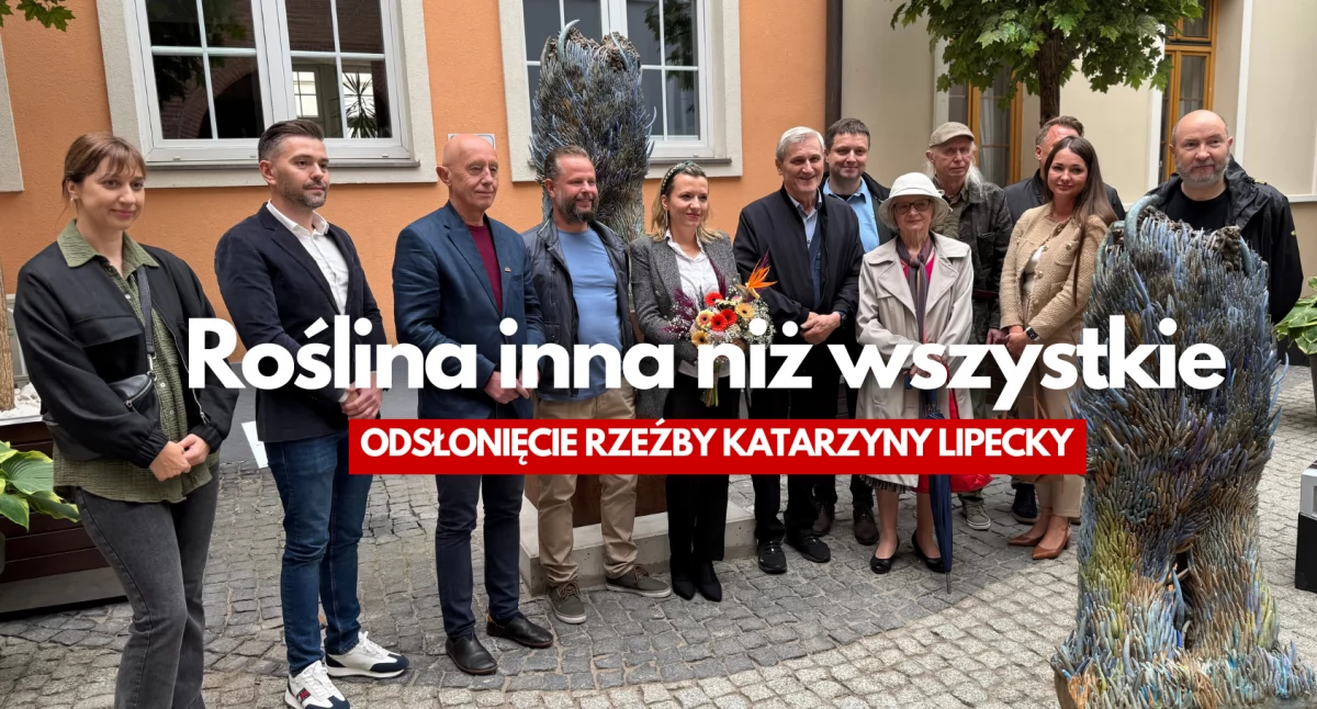 Tej „Rośliny” nie można przegapić. Wyrosła na podwórku ratusza ...